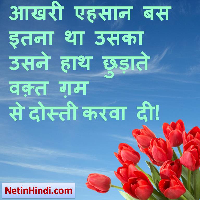 Dosti Status-Dosti dp Dosti images Shayari pictures – Net In Hindi.com