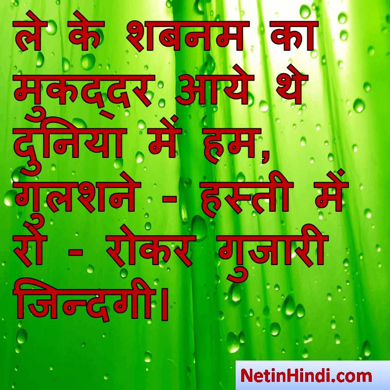 Shabnam Status-Shabnam dp Shabnam images Shayari pictures - Net In ...