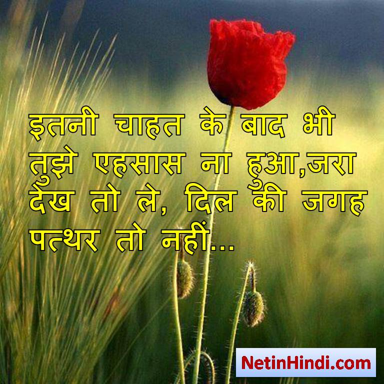 Pyar shayari shikayat shayari - Net In Hindi.com